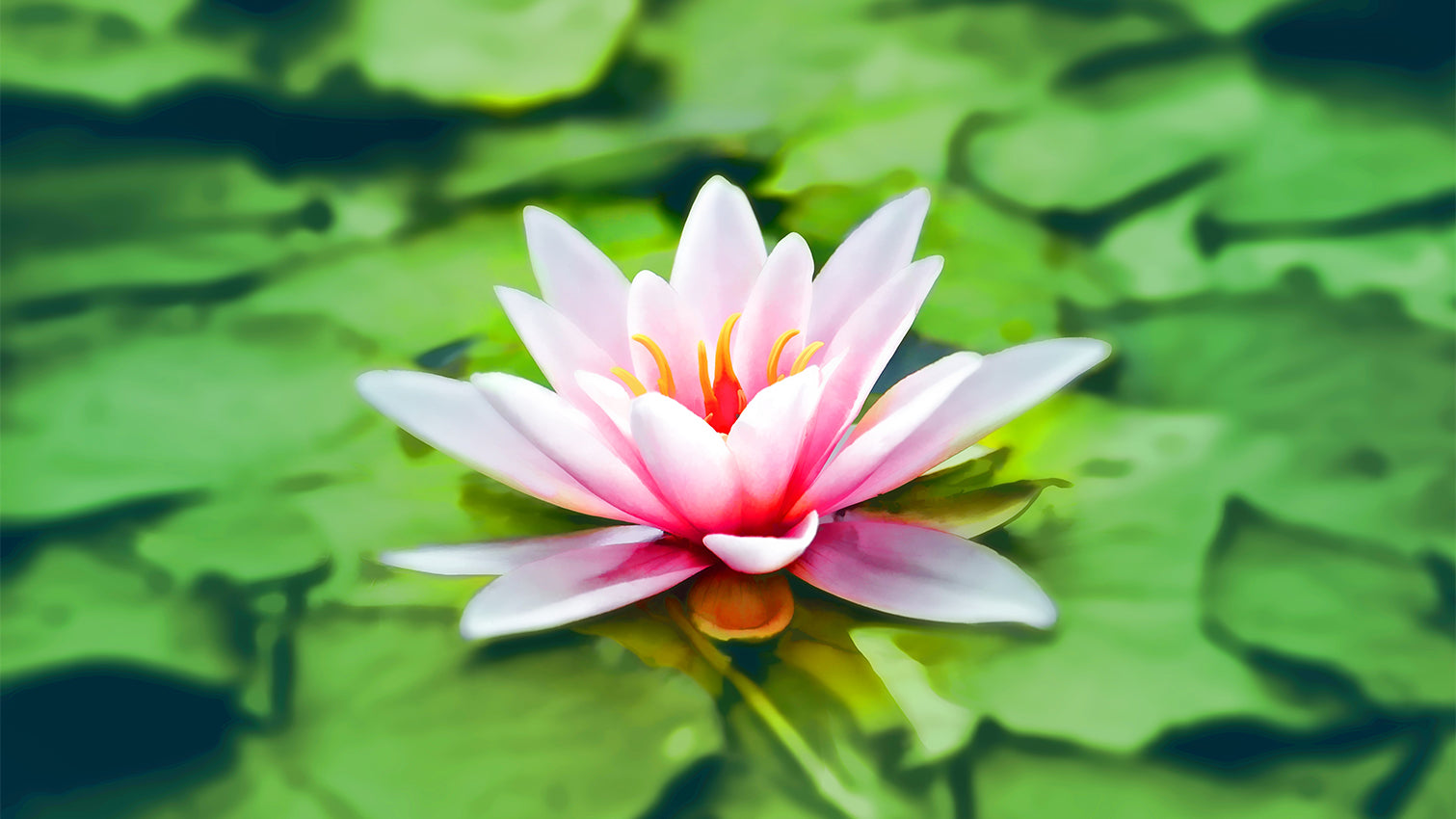 Mindful During Madness: Practicing Mindfulness During the Holidays ...